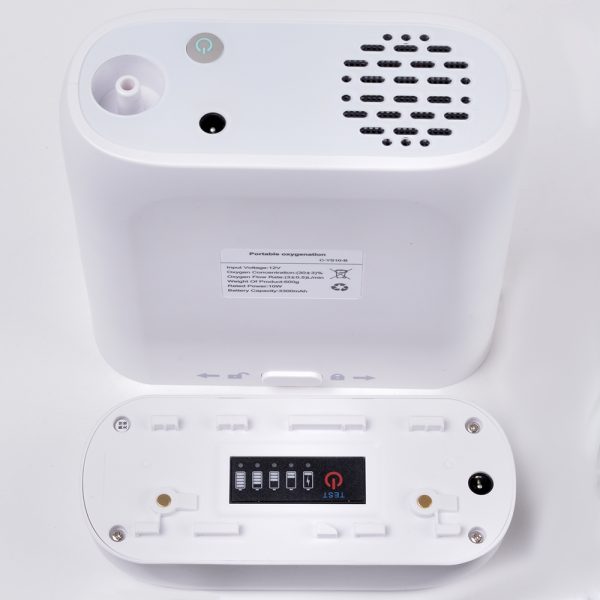 2L Smallest Portable Oxygen Concentrator Continuous Flow – Health ...
